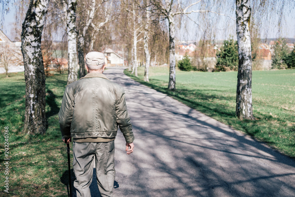 Retired man walking in nature, Health walk for senior citizen, Elderly ...
