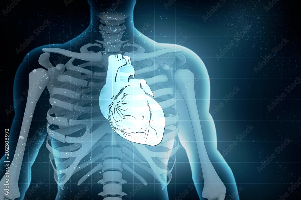 2d illustration Anatomy of Human Heart Stock Illustration | Adobe Stock