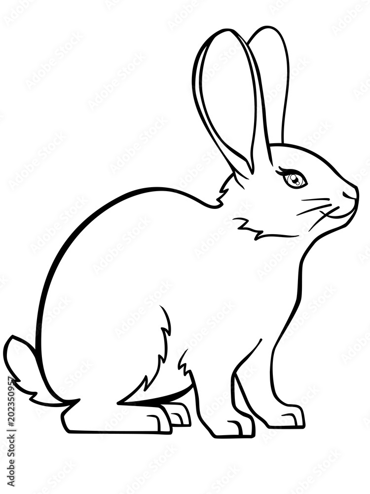 Bunny. Rabbit. Linear drawing of a bunny. Template for coloring Stock ...