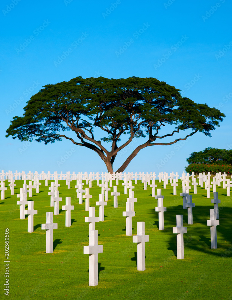 Manila American Cemetery and Memorial with beautiful daylight Stock ...
