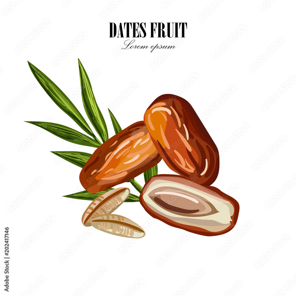 Dates with palm leaves on white background. Vector illustration. Stock ...