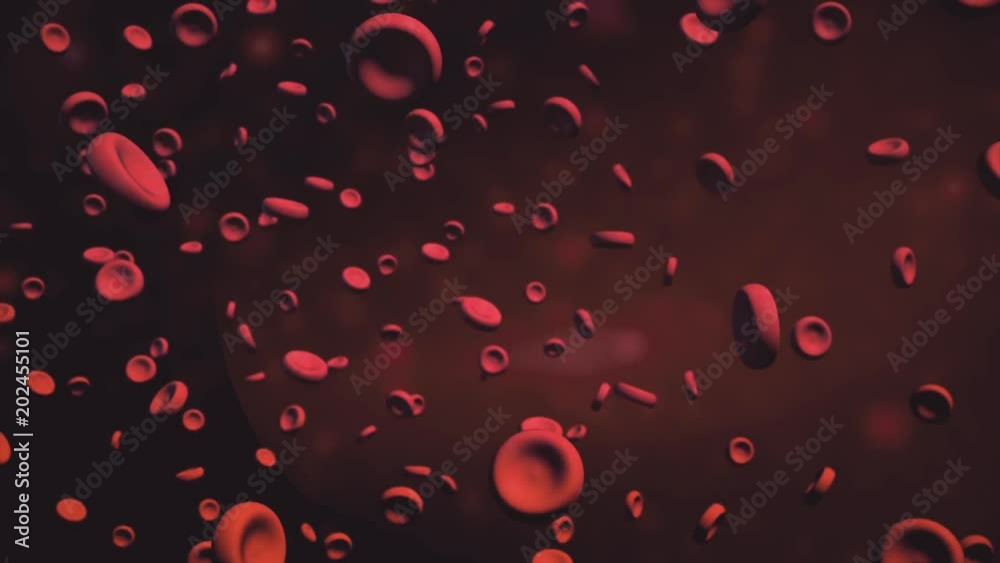 3d animation of red blood cells flowing through artery. Animation of ...