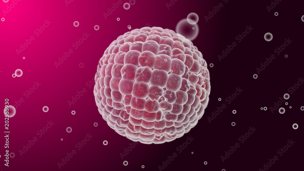 Round bacteria virus on a dark pink background with small floating ...