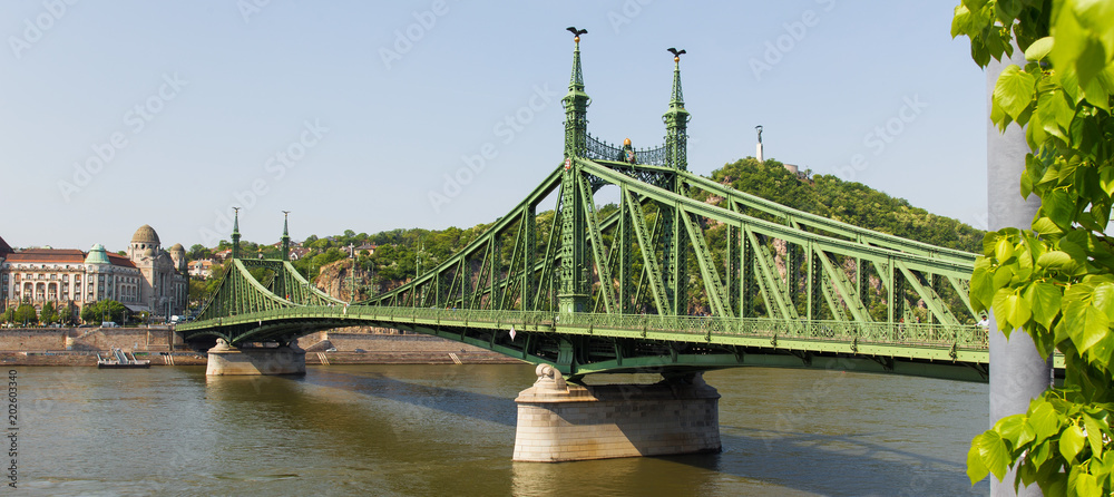 Photo & Art Print freedom bridge over the danub in budapest hungary ...