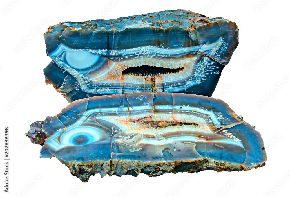 Close up of rock slice Stock Photo | Adobe Stock