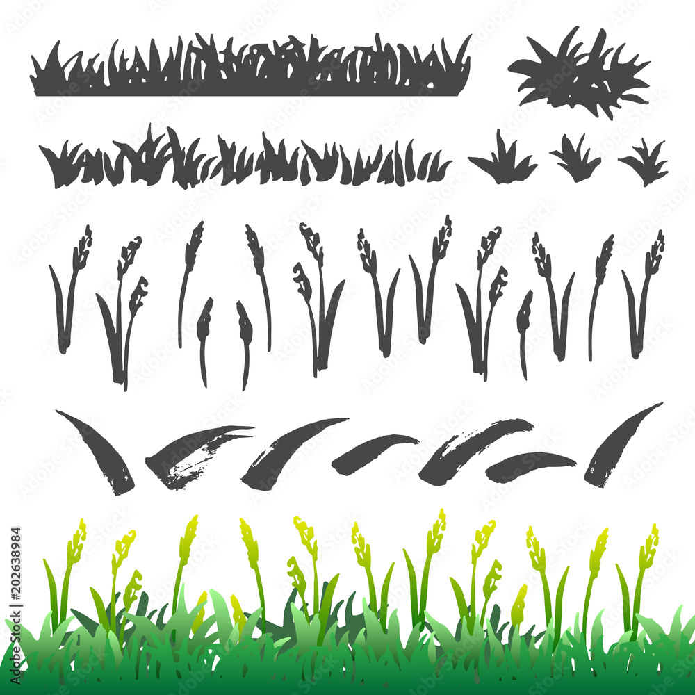 Hand drawn grass elements collection. Brush drawing grass and leaves ...