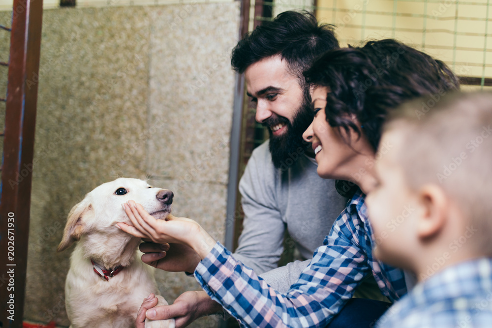 Happy family at animal shelter choosing a dog for adoption. Stock Photo ...