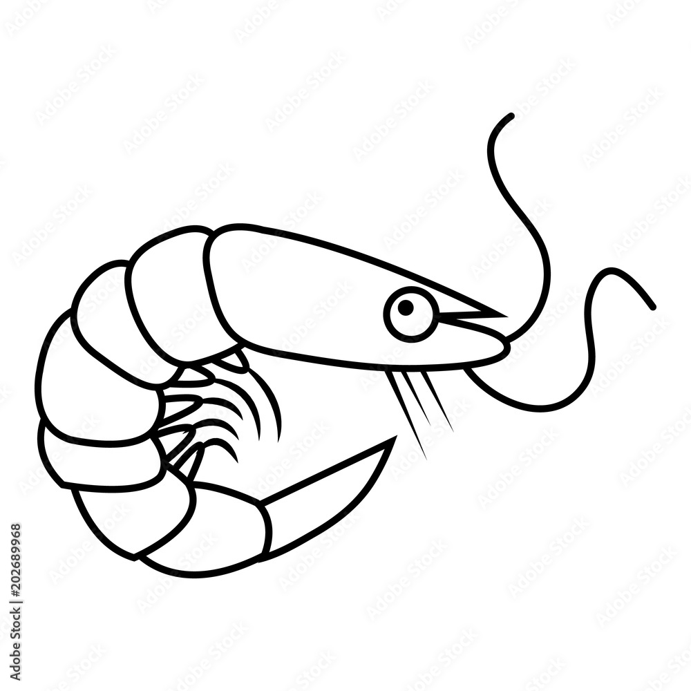 Shrimp Outline