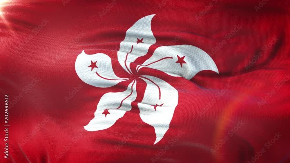 Flag of Hong Kong waving on sun. Seamless loop with highly detailed ...