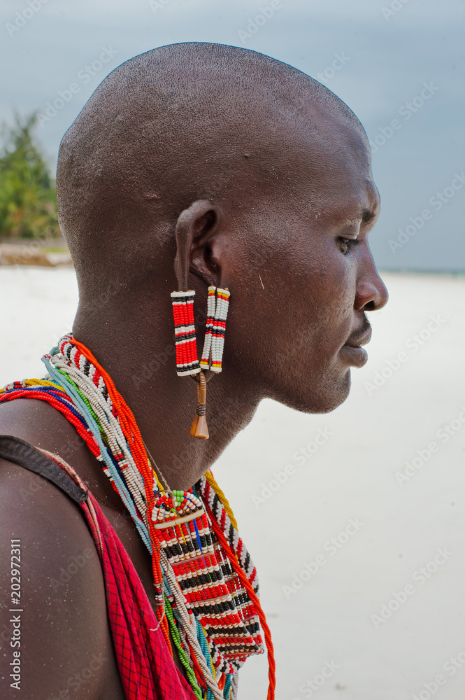 portrait of a Maasai warrior in Africa. Tribe, Diani beach, culture ...