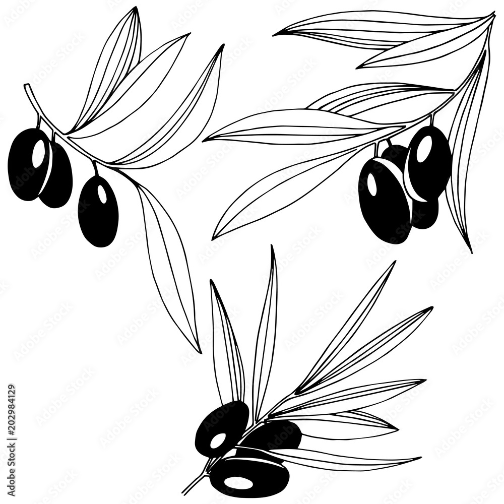 Olive tree in a vector style isolated. Olive tree in a vector style ...