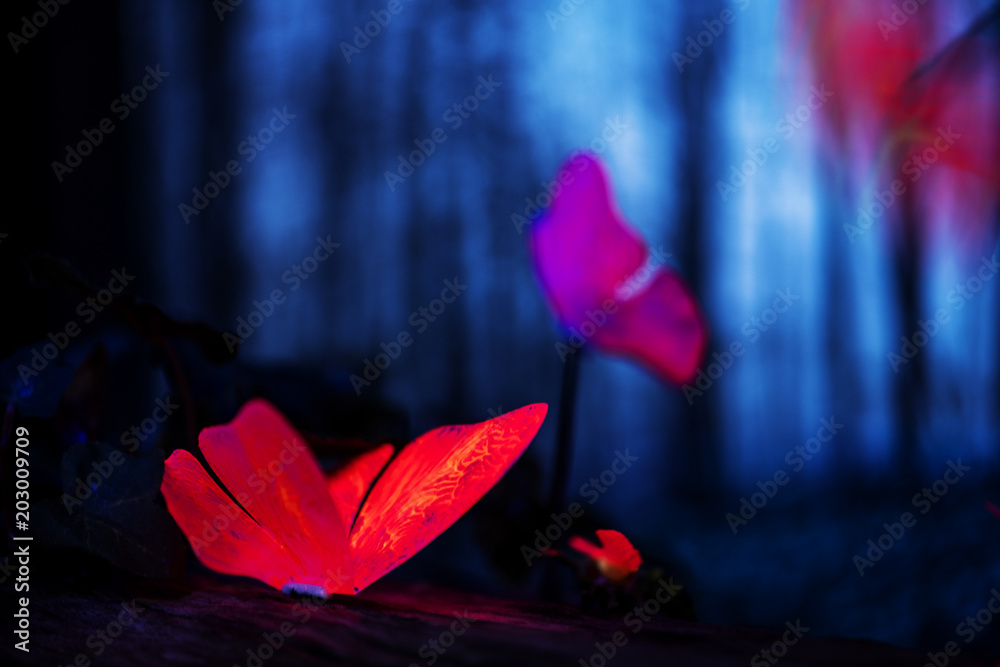 Glowing insects in the night forest Stock Photo | Adobe Stock