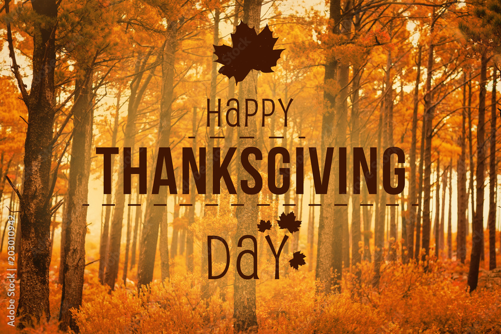Happy thanksgiving against autumn scene Stock Photo | Adobe Stock