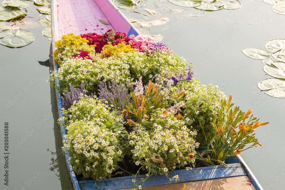 Flowers on boat at floating market in morning on Dal Lake in Srinagar ...