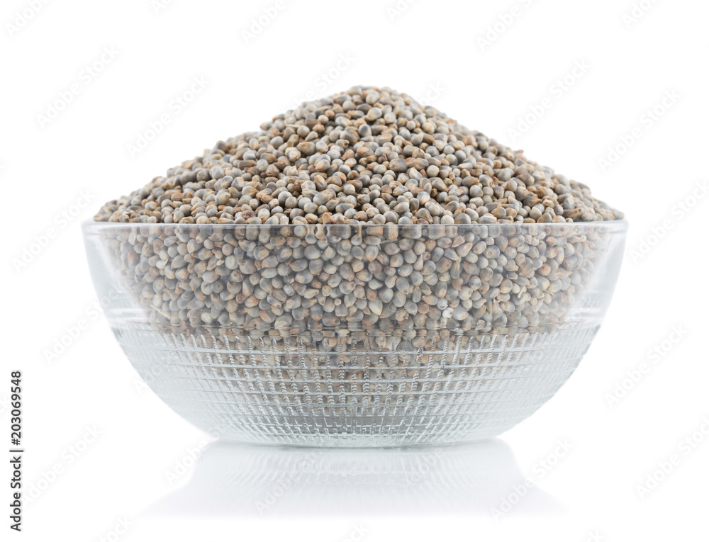 Pearl Millet Seeds Also Know as Bajra, Bajri, Bulrush Millet or Indian ...