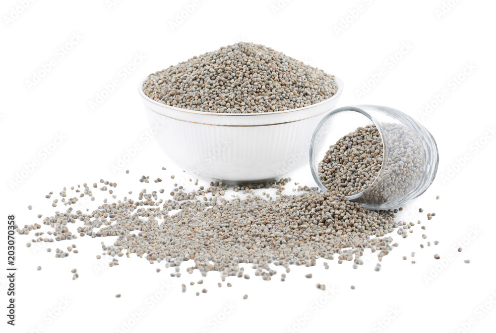 Pearl Millet Seeds Also Know as Bajra, Bajri, Bulrush Millet or Indian ...