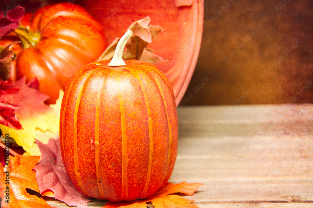 A fall themed background featuring a small pumpkin in focus with an out ...