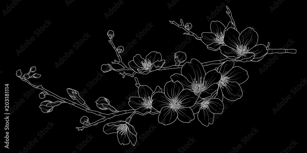 Cute hand drawn isolated sakura branch set 1. Stock Vector | Adobe Stock