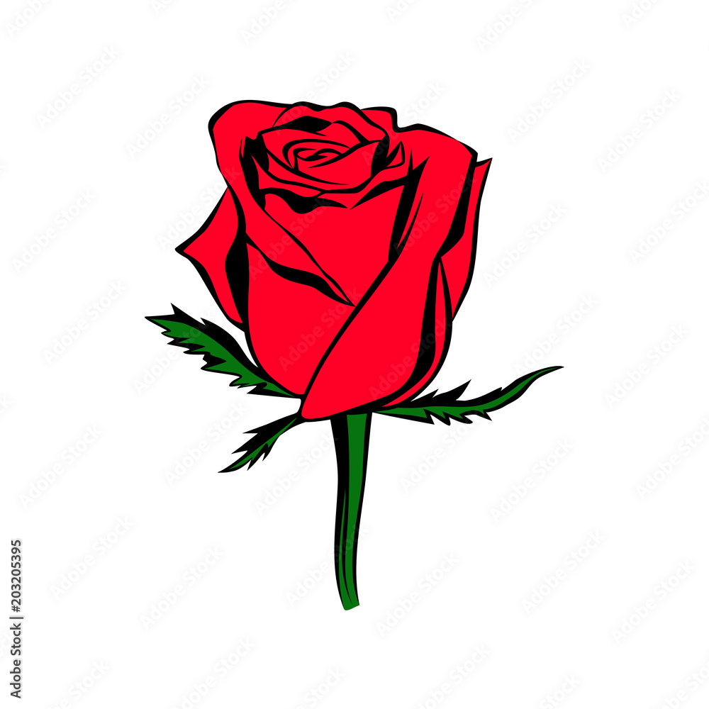 Rose Illustration Vector