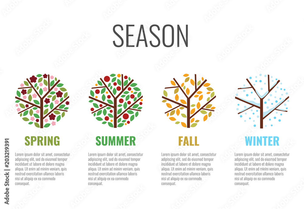 Winter Spring Summer Fall Trees