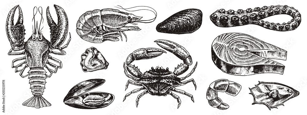 Crustaceans, shrimp, lobster or crayfish, crab with claws. River and ...