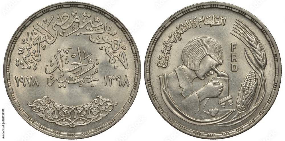 Egypt, Egyptian coin one pound 1978, inscription in Arabic script FAO ...