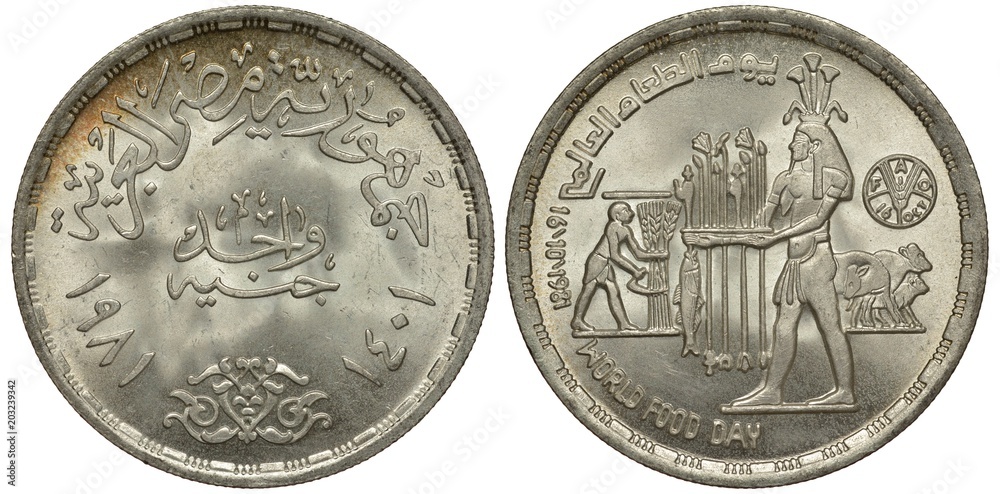 Egypt, Egyptian coin one pound 1981, inscription in Arabic script FAO ...