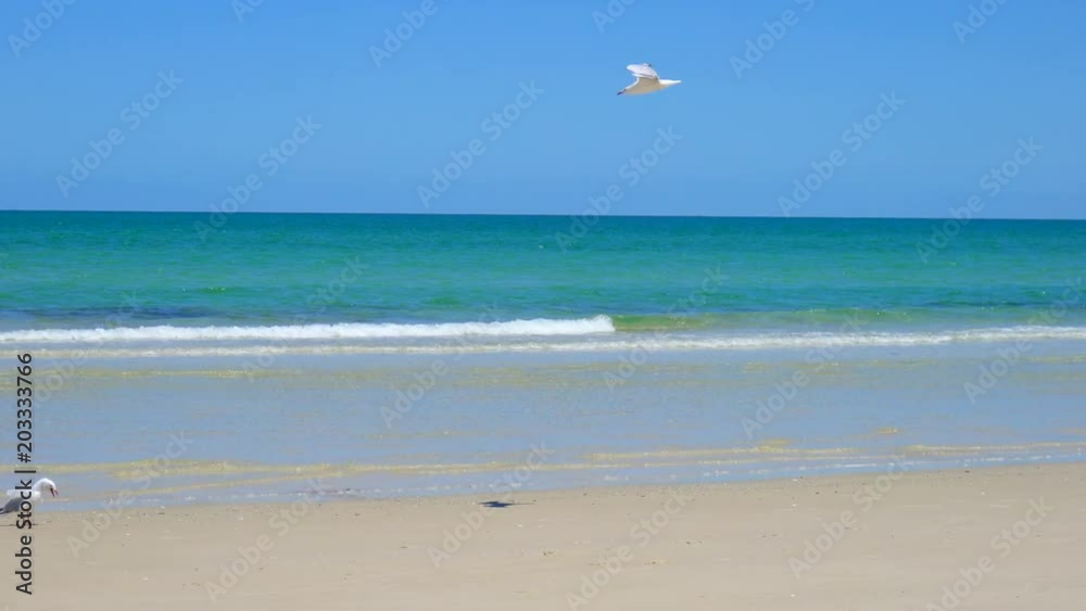 4k beautiful golden sand beach, taken at Tennyson, South Australia ...