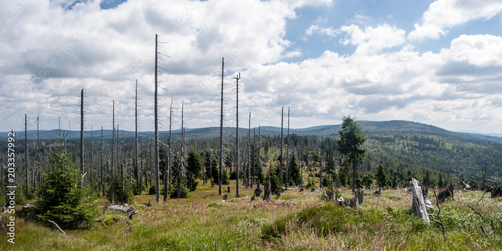 Foto de wild Bayerischer Wald and Sumava mountains from hiking trail ...
