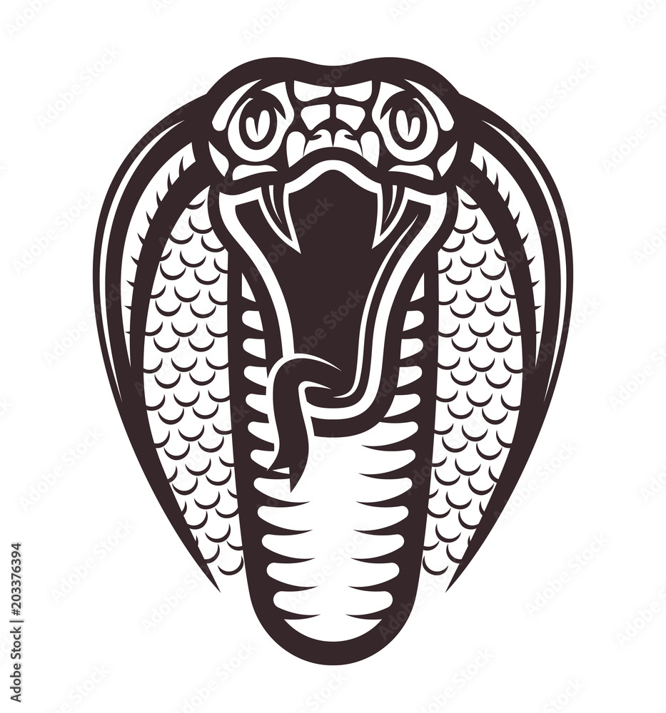 Cobra front view vector illustration in vintage Stock Vector | Adobe Stock
