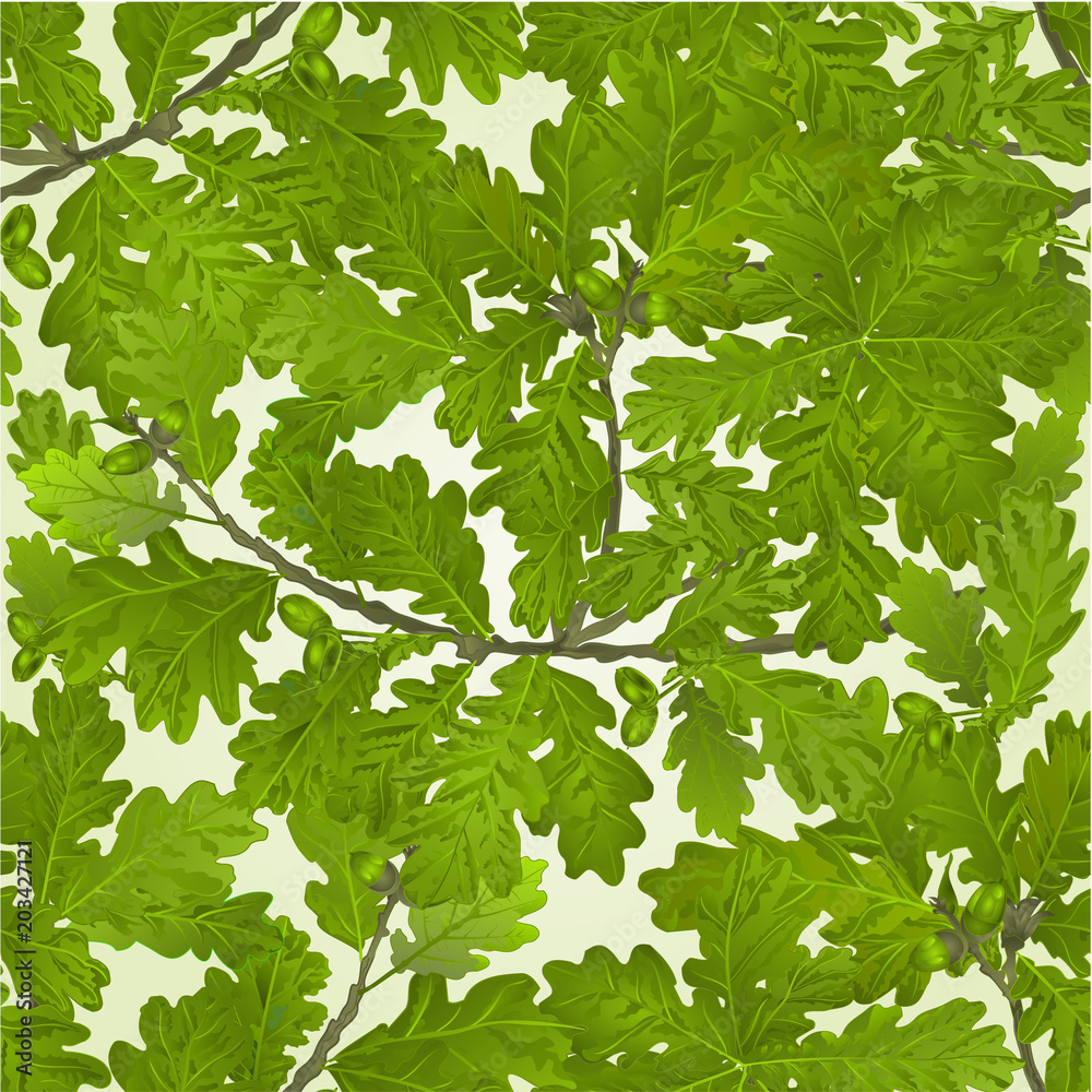 Seamless texture Branch of oak with acorns natural summer background ...