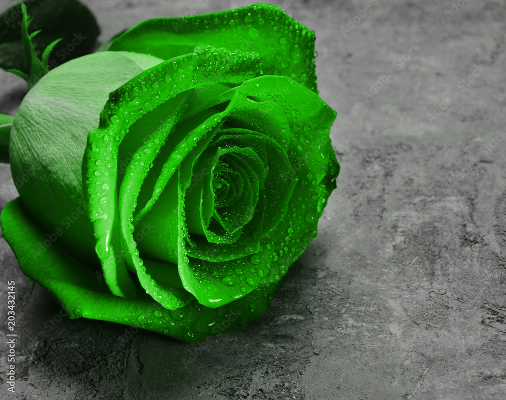 Single Green Roses