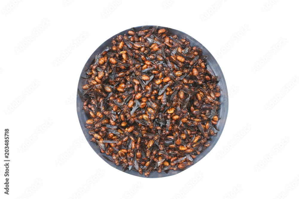 Stir fried subterranean ants with salt in bowl,edible insects,rare food ...