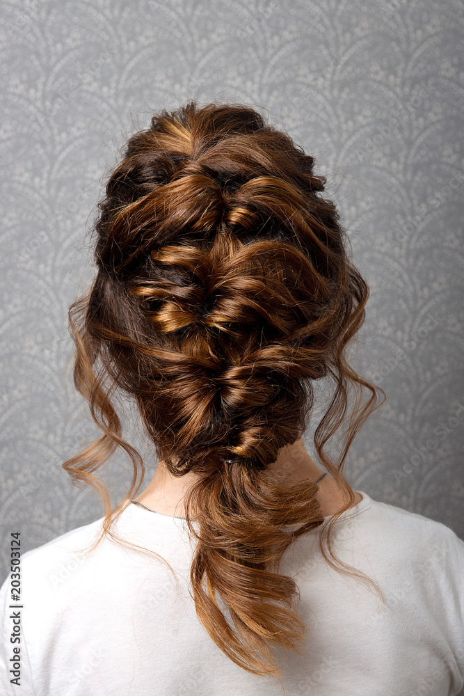 Braided Hair Back View