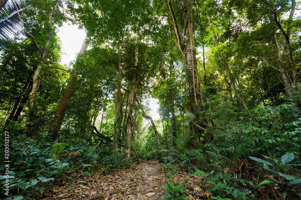 Khao Phanom Bencha National Park
