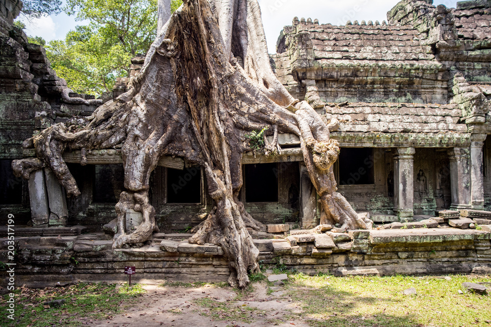 Angkor Wat Stock Photo | Adobe Stock