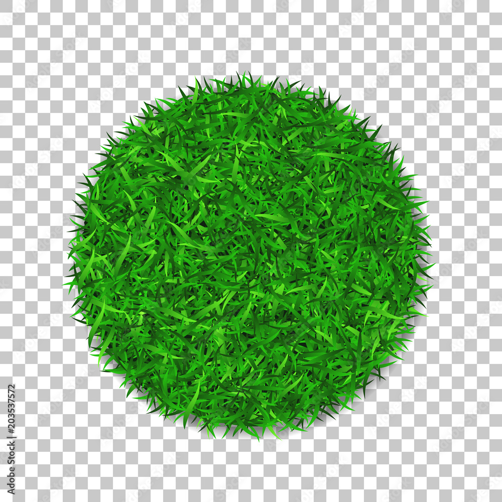 Grass circle 3D. Green plant, grassy round field, isolated white ...