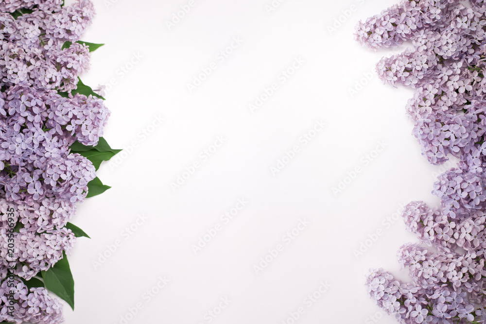 Beautiful lilac flowers on both sides of the screen. On one side are ...