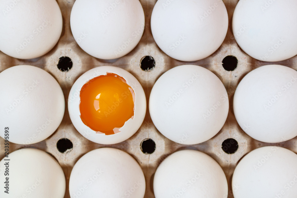 Opened chicken egg with yolk among whole eggs in cardboard tray closeup ...