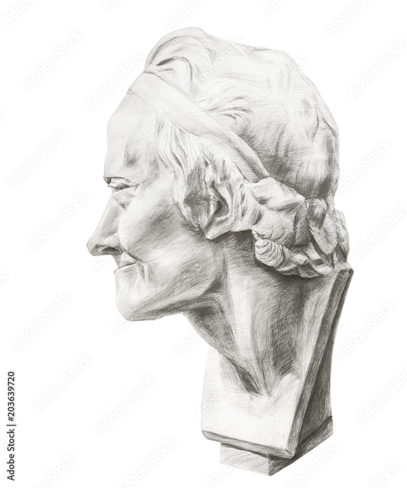 Drawing of Voltaire's plaster head. Head of Voltaire in profile. Gypsum ...