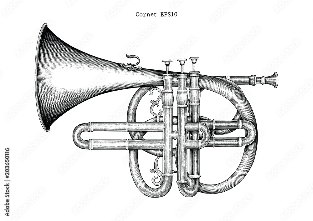 Vintage Cornet hand drawing engraving illustration,The classical music ...