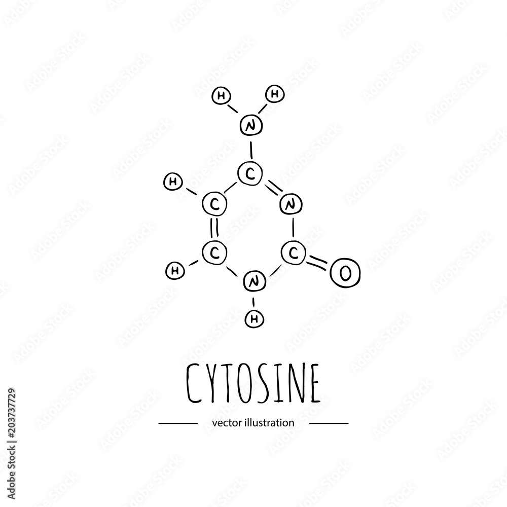 Hand drawn doodle Cytosine chemical formula icon Vector illustration ...