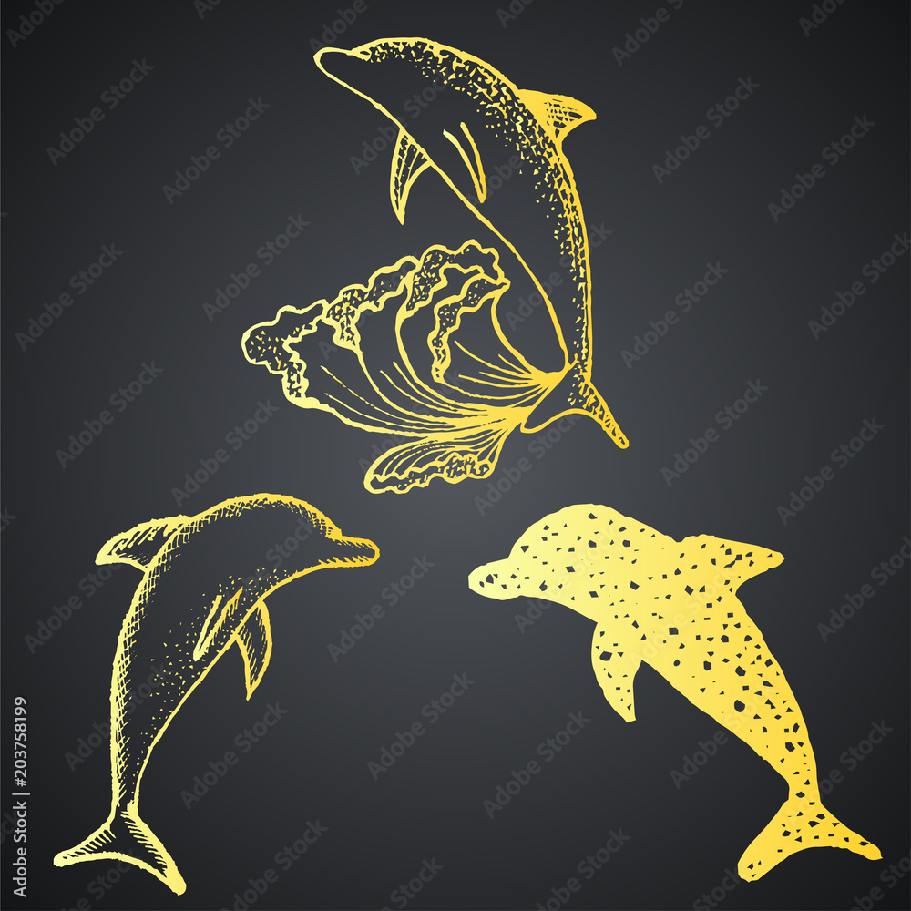 Vector engraving of golden dolphins, black background Stock Vector ...