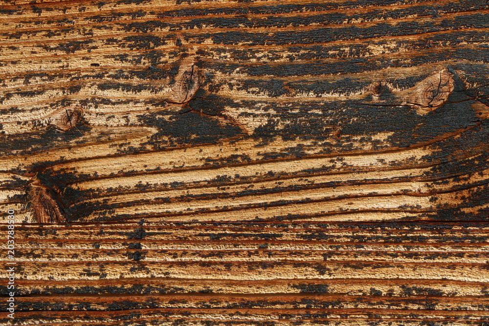 Holz-Textur, Holzhintergrund, Holzmaserung Stock-Foto | Adobe Stock