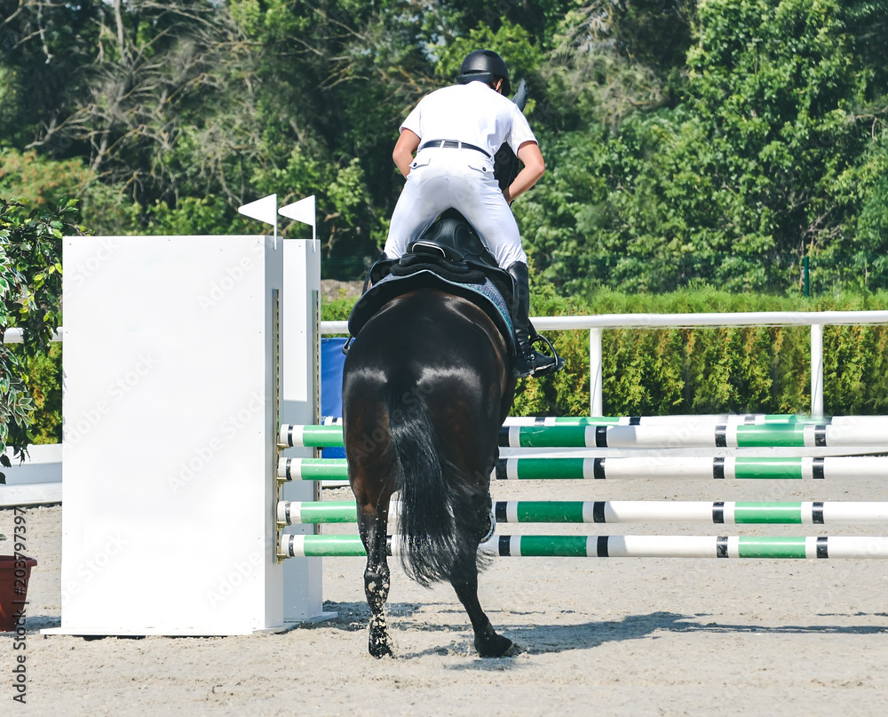 Showjumping competition, bay horse and rider in white uniform ...