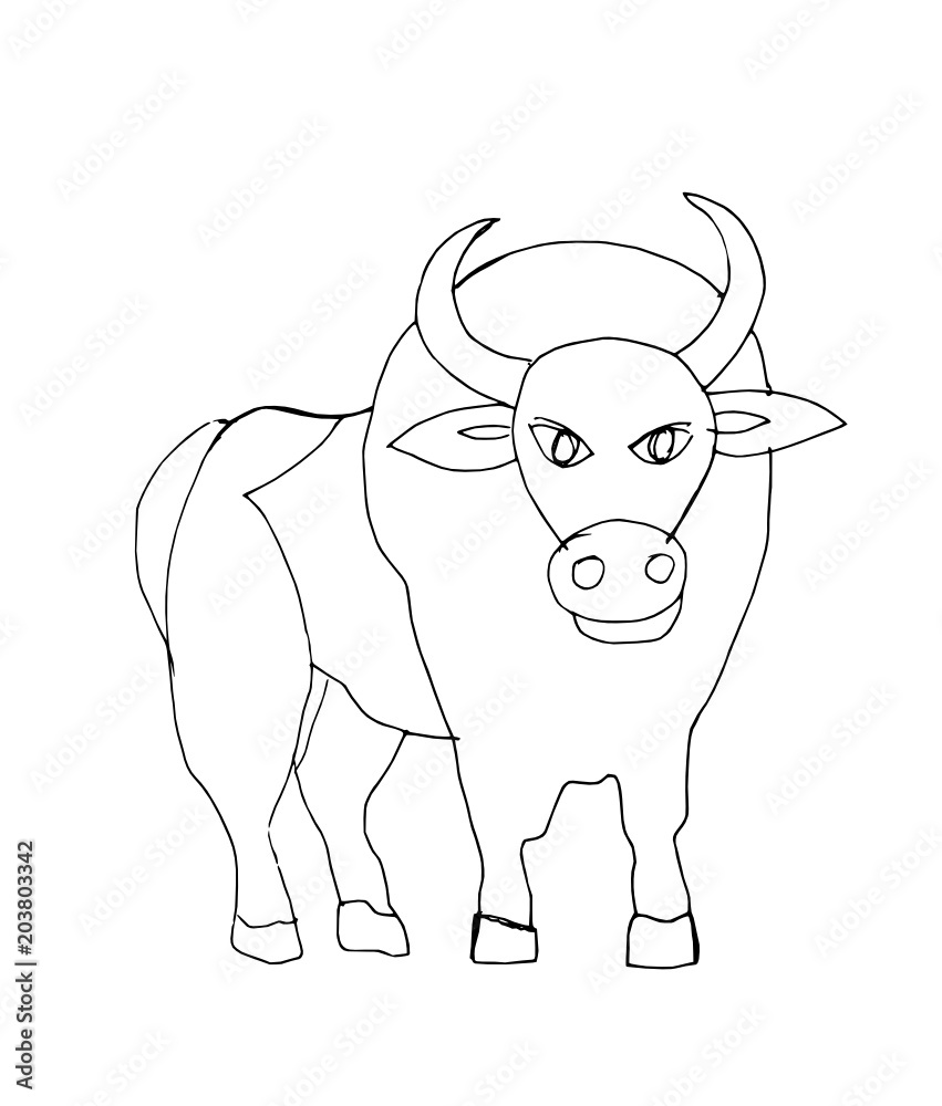 Bull outline drawing Stock Vector | Adobe Stock