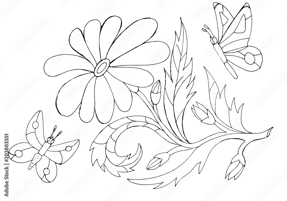 Line Drawing Butterfly With Flower