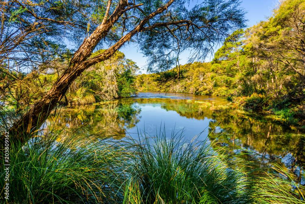 Te Waikoropupu Springs, Pupu Springs, Golden Bay, New Zealand: crystal ...