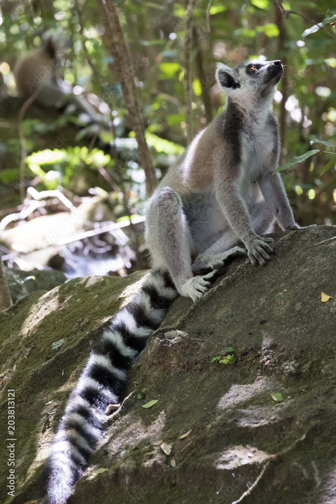 Bantu, Isalo, Madagascar, Sandstone, adventure, africa, african ...