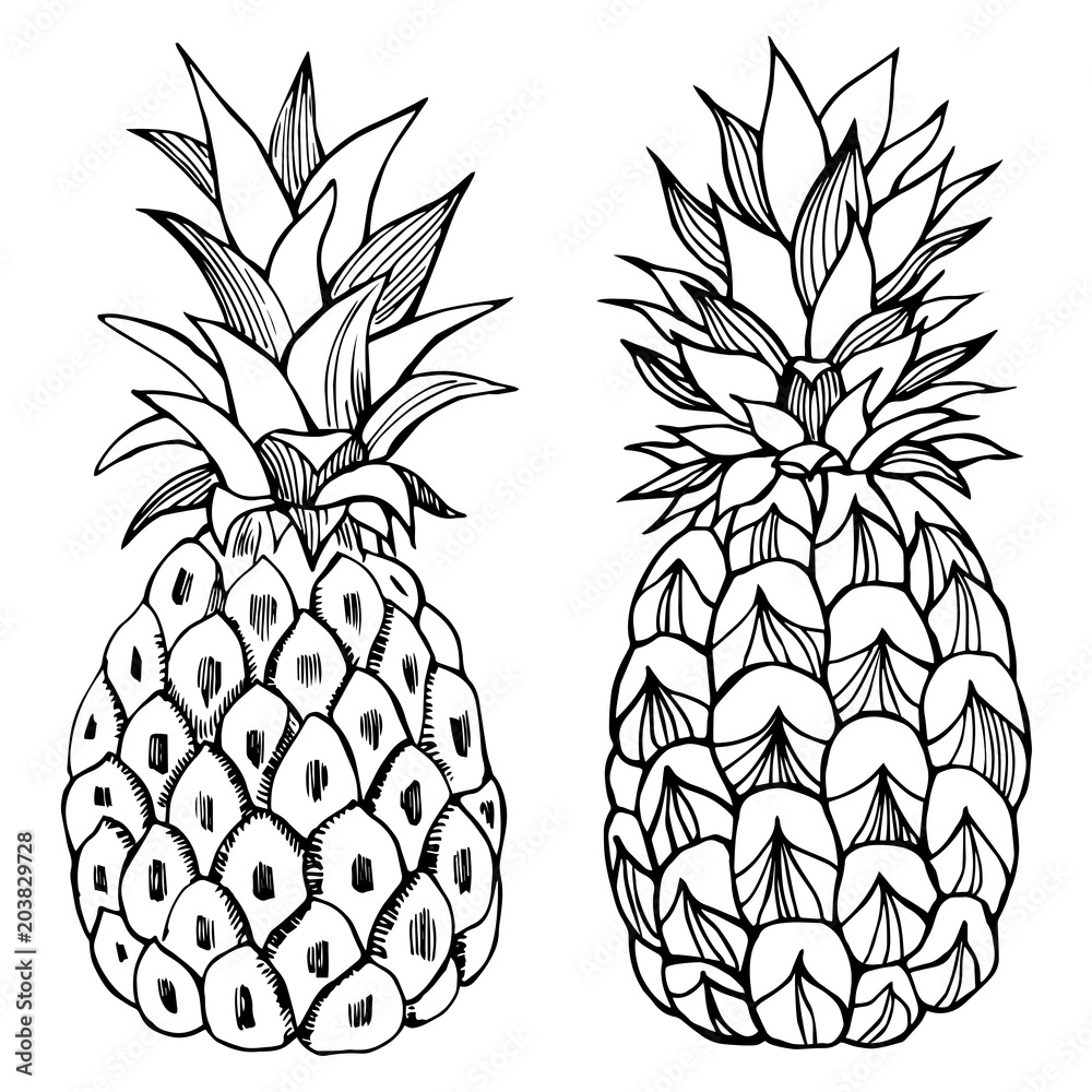 Hand drawn pineapple. Vector sketch illustration Stock Vector | Adobe Stock
